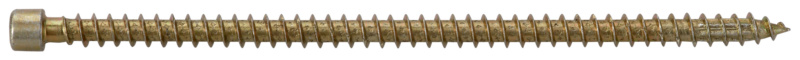 Timber screws TX, cylinder head, full thread | SWG Schraubenwerk ...